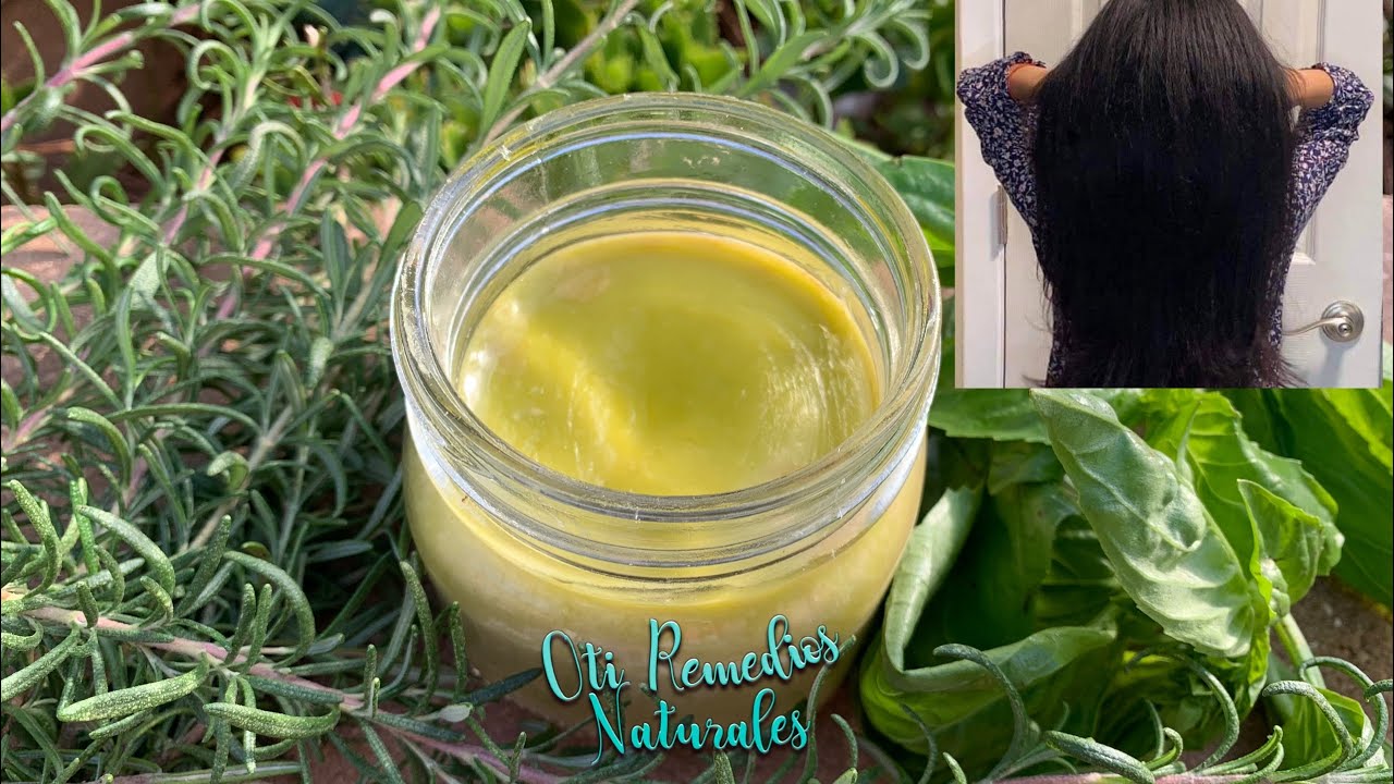 Acelera el Crecimiento del Cabello con Albahaca y Romero 🌿🌱🍃 - YouTube