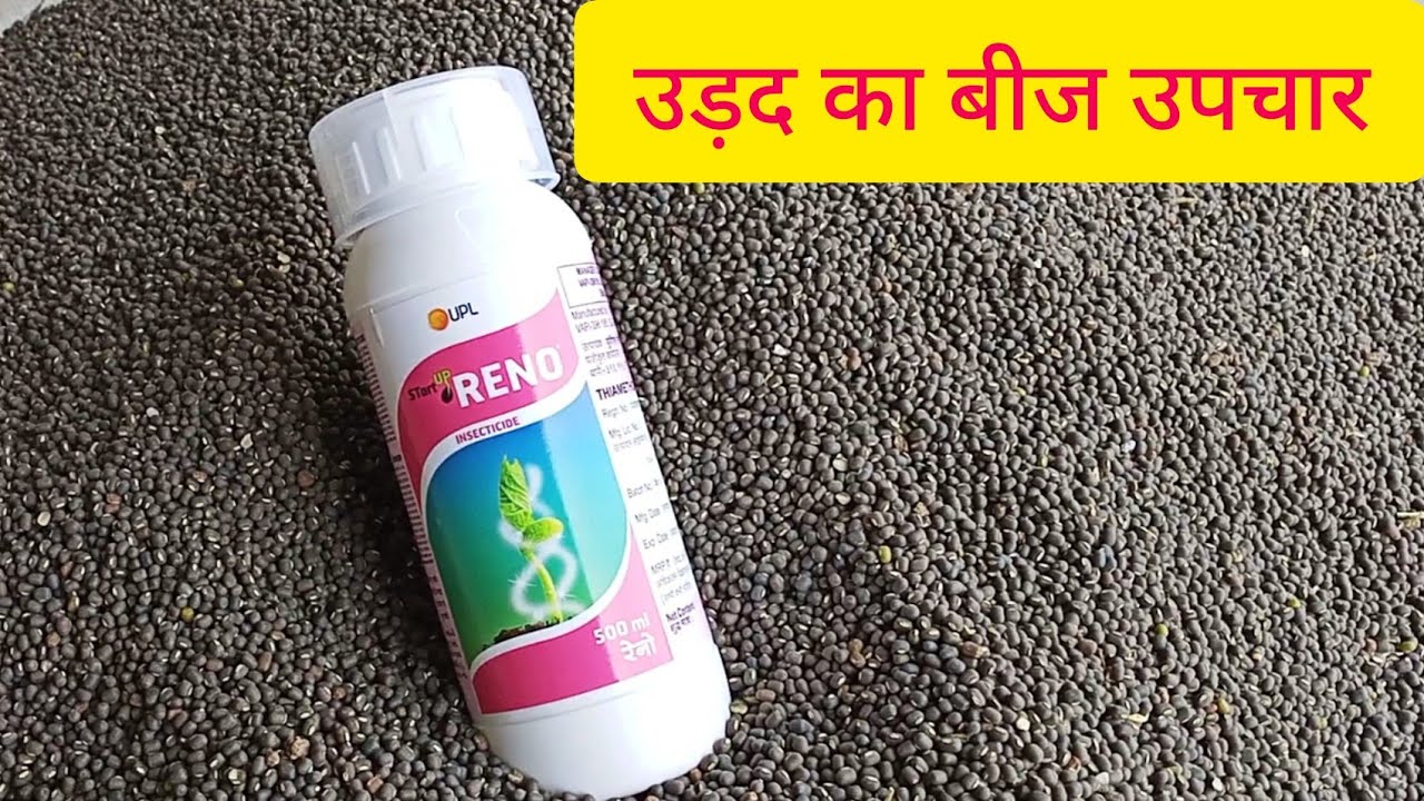 उड़द के बीज को उपचारित कैसे करें ? How To Treat Urad Seed | UPL Reno ...