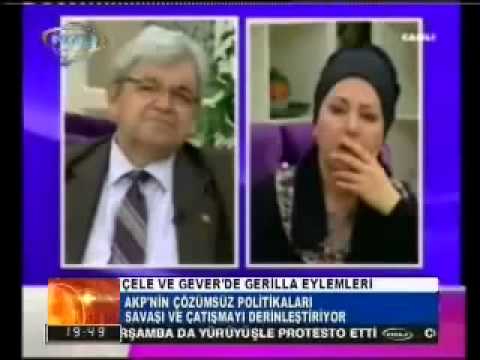 ÇukurcaÇelê da gerila eylemi