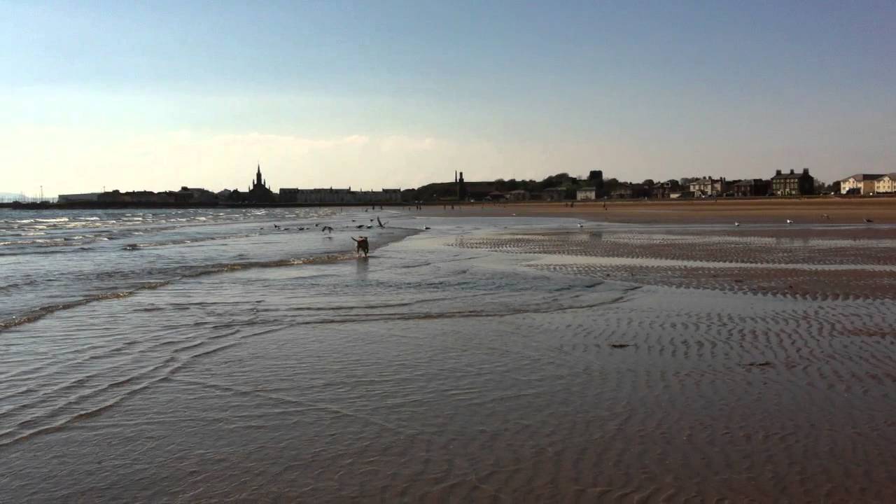 Honey Kerr beach .. - YouTube