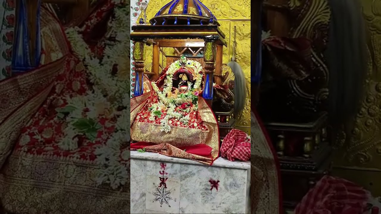 KUNTAL PAL is live! - YouTube