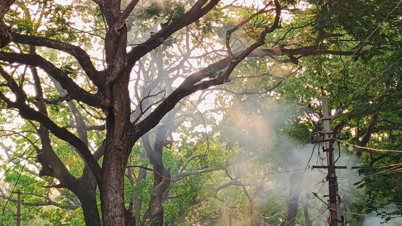 @Fell tha nature @LEXLON_OFFICIAL : A Journey of Discovery and ...