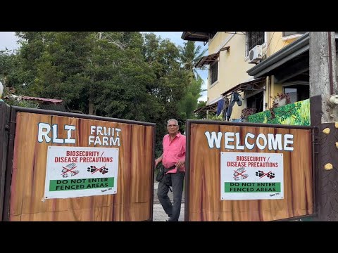 AgriTechnoLearning || Farm Tour to RLI Fruit Farm - DA BAFS Certified Organic Farm - YouTube