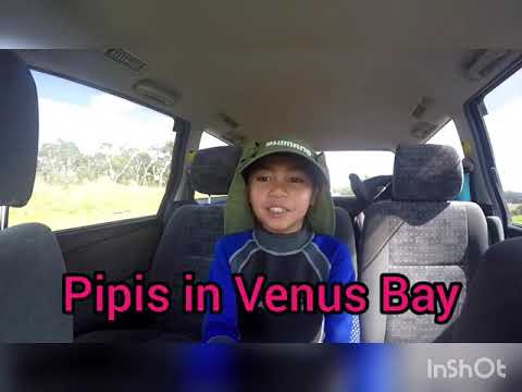 Catching pipis in Venus Bay - YouTube