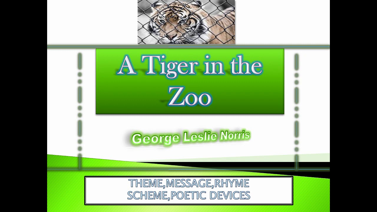 A TIGER IN THE ZOO | CBSE CLASS 10 | THEME, MESSAGE, RHYME SCHEME AND ...