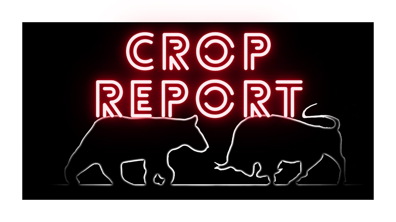 How To Use Quarter Level Theory On Gold Day 1 #forextrading # ...