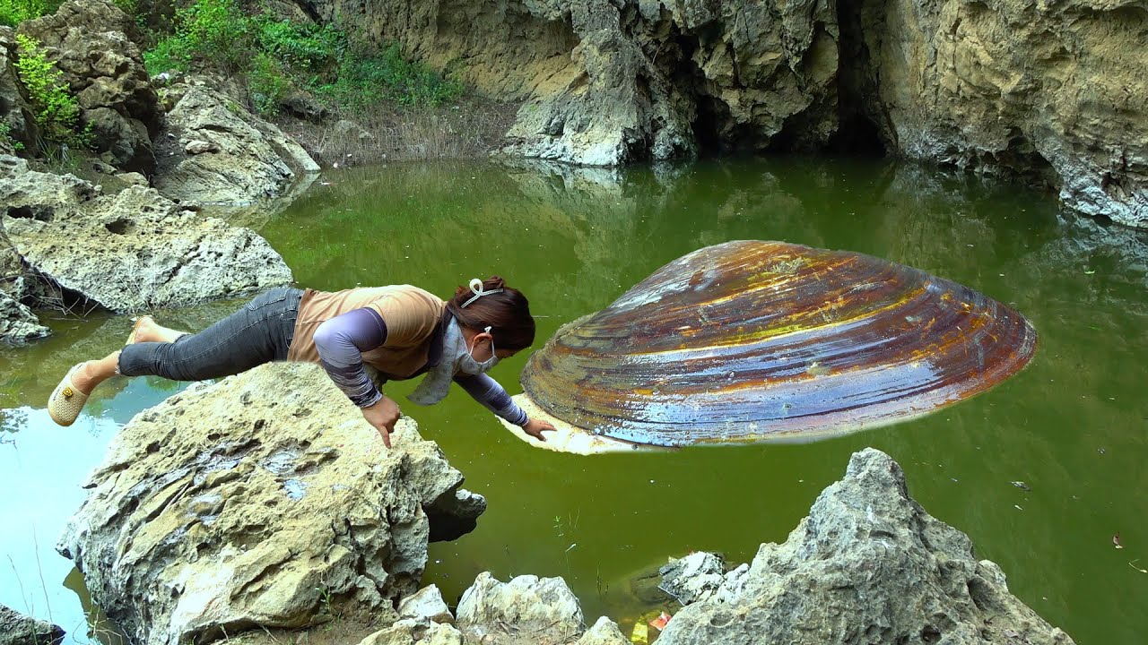A beautiful woman discovered a huge pearl clam in a cave, which ...