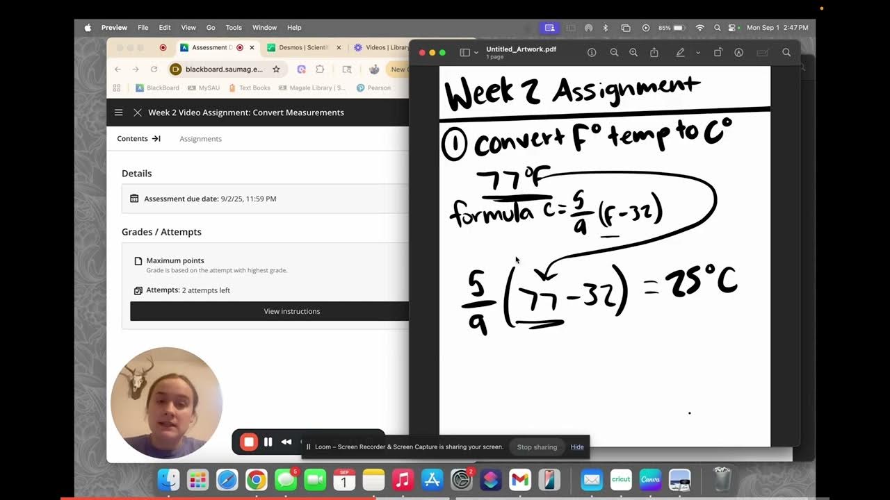Math Literacy Lab Week 2 Assignment - YouTube