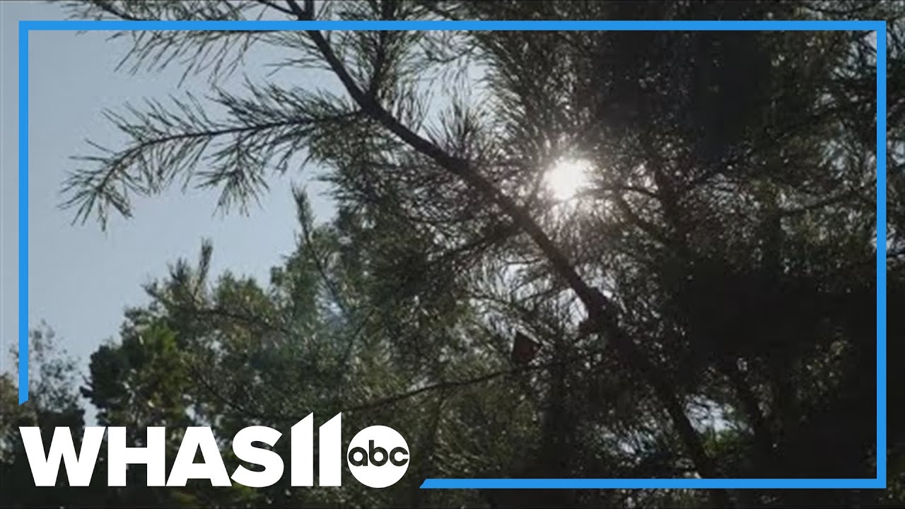 Body believed to be I-75 shooter Joseph Couch found by close to exit ...