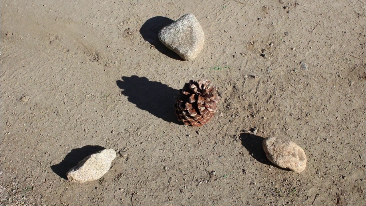 Joseph Iniguez - YouTube