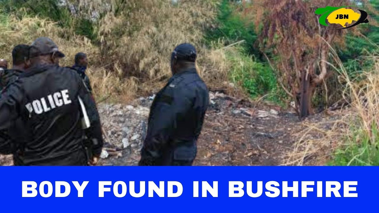 B0DY Found In Bushfire Might Be Missing Security Guard/JBNN - YouTube