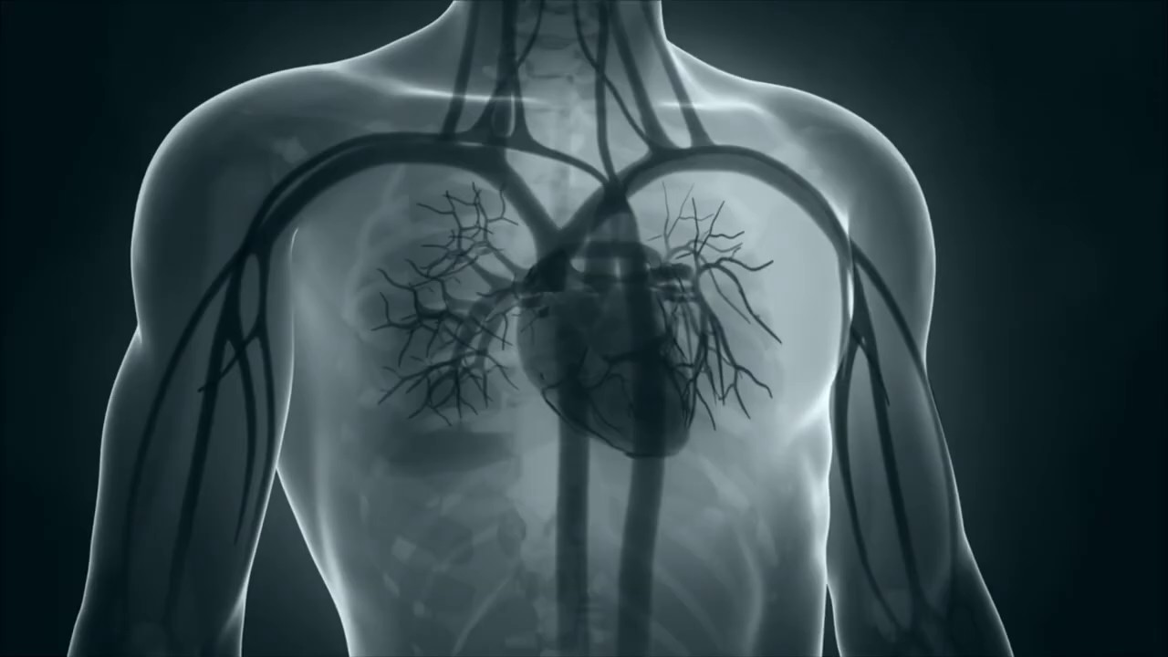 PORQUÊ RESPIRAMOS? COMO FUNCIONA A RESPIRAÇÃO? - YouTube