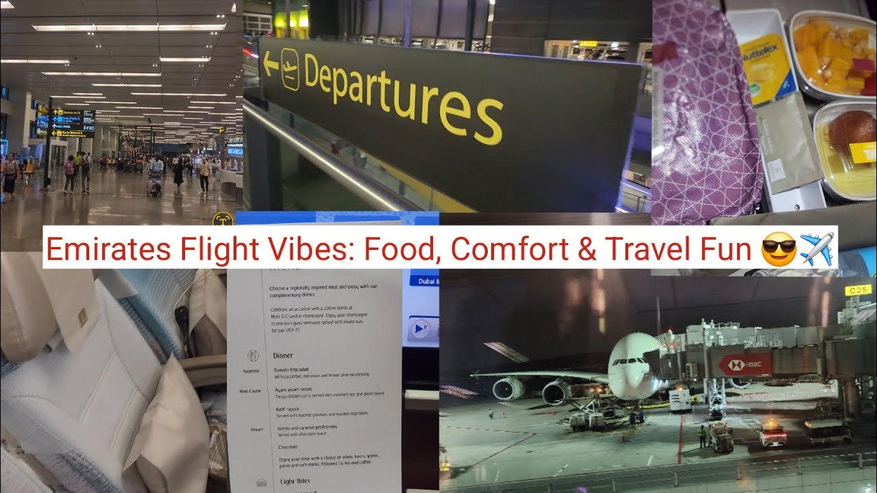 Emirates Flight Vibes: Food, Comfort & Travel Fun 😎 ️ #trending #travel ...