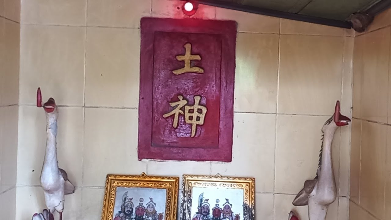 Tra Le vong nhi loc cau co loc15-mn+15+15mt-cau co nhap xac-ngay-11-09 ...