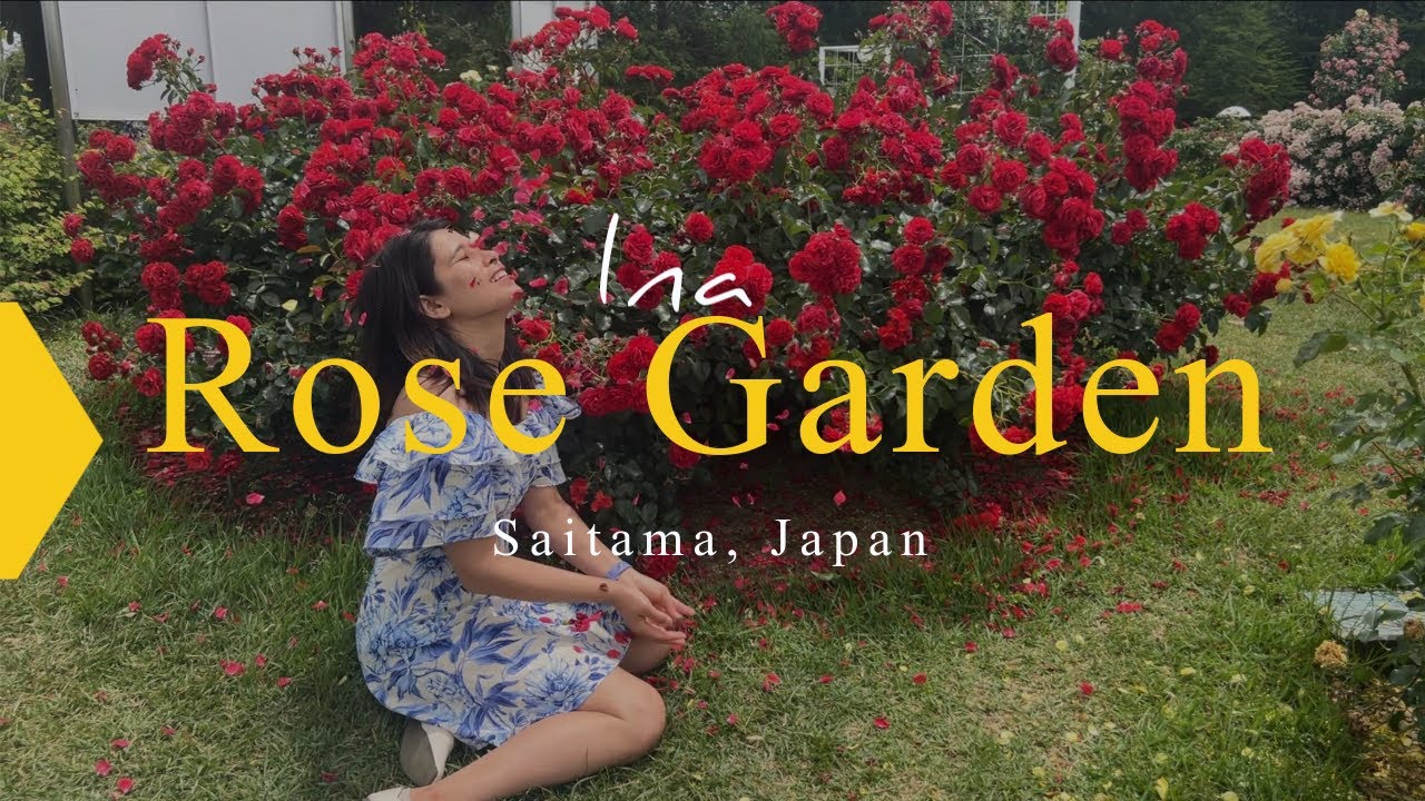 Ina Rose Garden, Saitama Japan 伊奈バラ園 #バラ園 #saitama #japan - YouTube