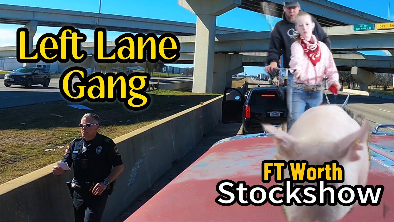 Dry van hustle, Fort Worth stock show with our niece, left lane gang ...