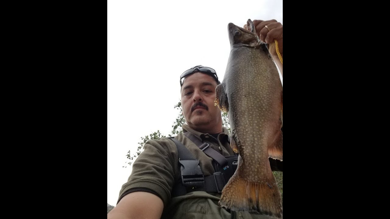 17" Brook Trout! Kings River Fishing - YouTube
