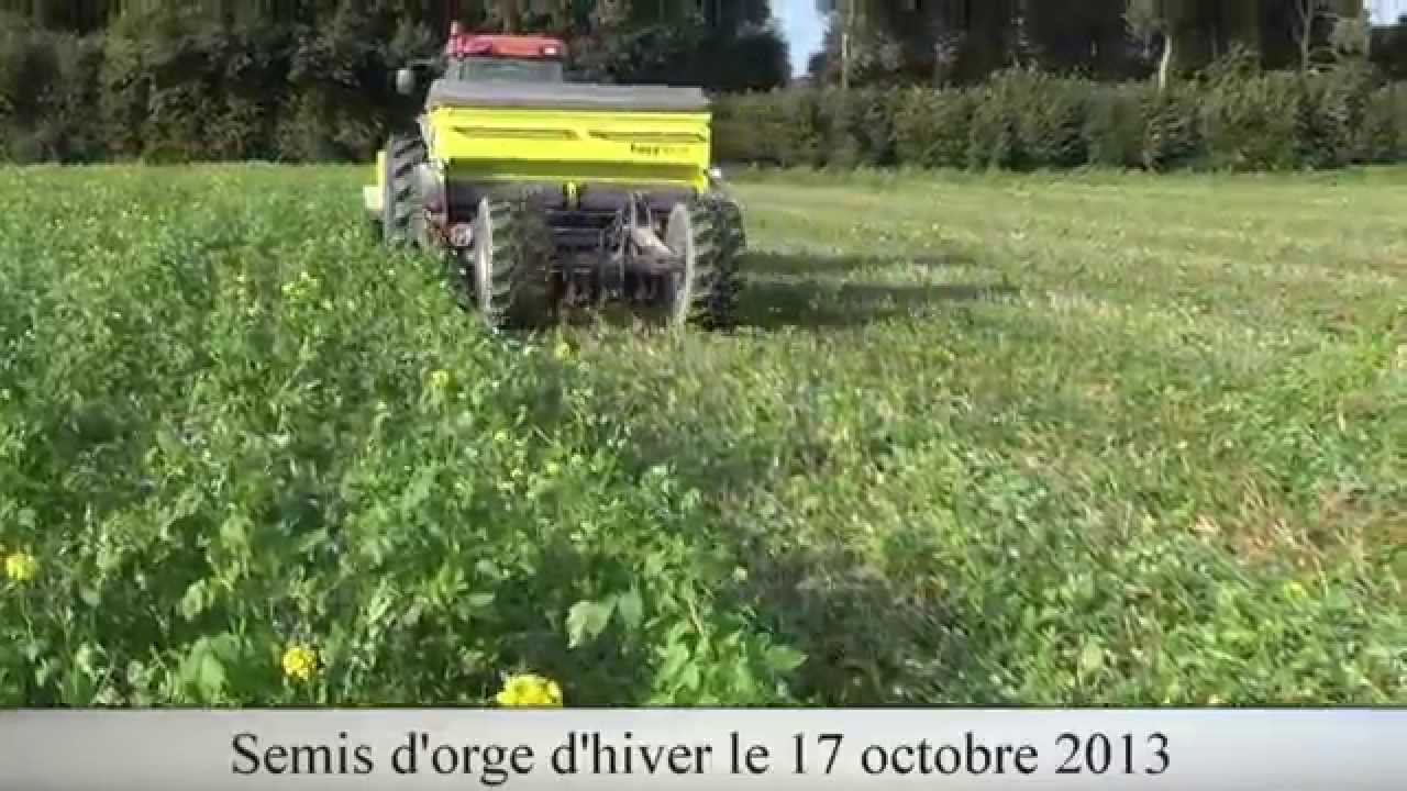 Suivi d'une parcelle en semis direct sous couvert végétal chez SKY ...