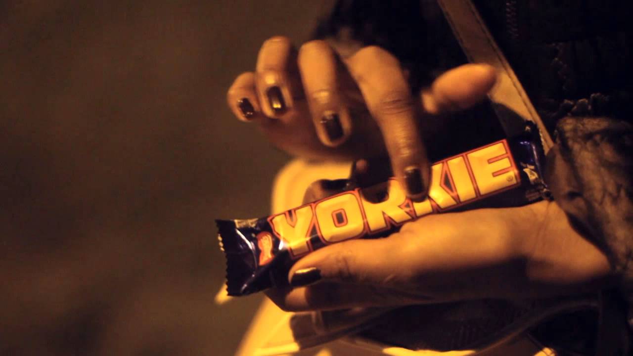 YORKIE ADVERT - YouTube