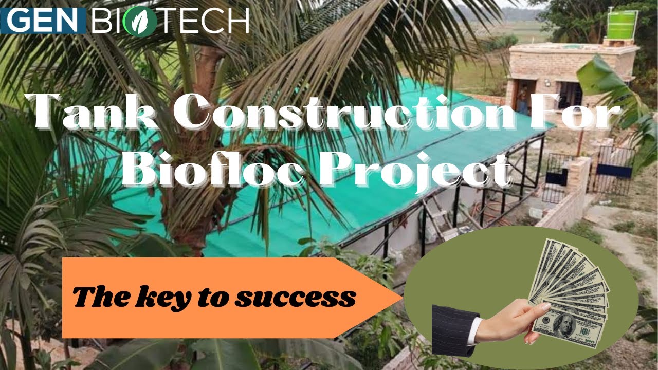 How to set up BIOFLOC tank? || Tank Construction for BIOFLOC ...