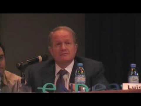 Woods Staton Foro Endeavor de Capital Emprendedor 2008 - YouTube
