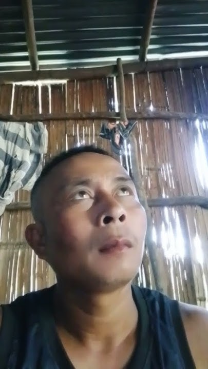 sakto gedka tay salot ko nmo please subscribe thank you - YouTube