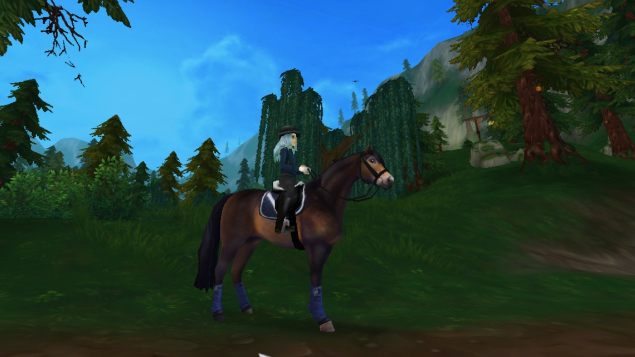 star stable online/Holly Waterpaw Live Stream - YouTube