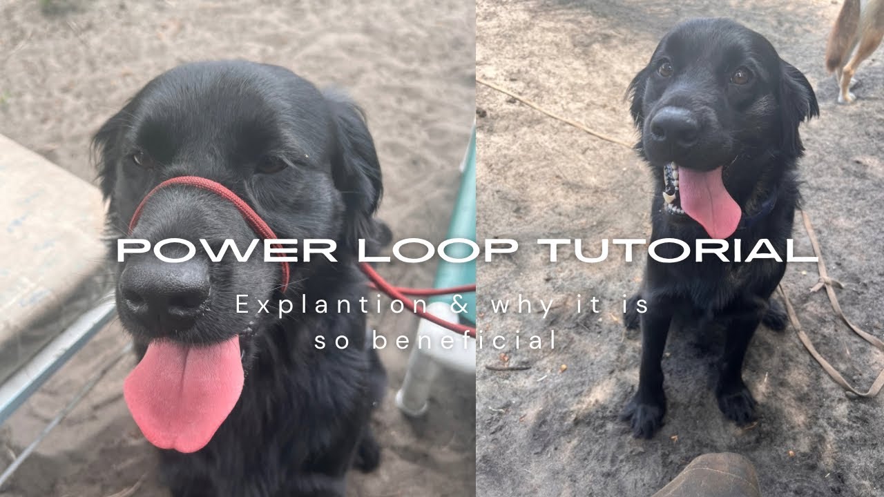 Power Loop Tutorial- What is it? & Why it’s so beneficial! - YouTube
