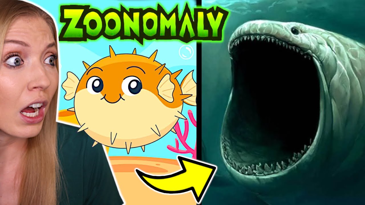 STAY AWAY From This Aquarium At Night! | Zoonomaly - YouTube