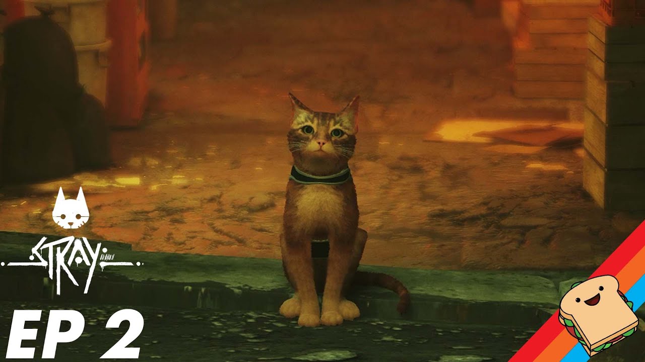 Ultimate Cat Simulator! | Stray EP2 - YouTube