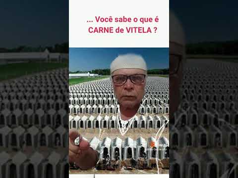O bicho homem tá sempre inventando histórias - YouTube