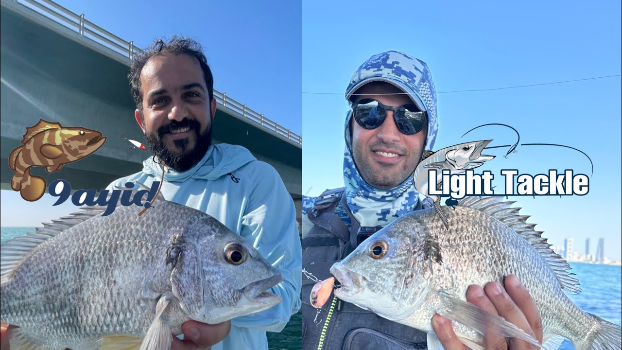 صيد الشعم على المحاره مع @9ayid bream fishing using mussel lure 🔥🔥 ...