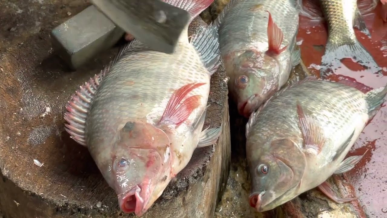Amazing Fish Chopping By Expert Fish Cutter Chittagong || Fish Cut How ...