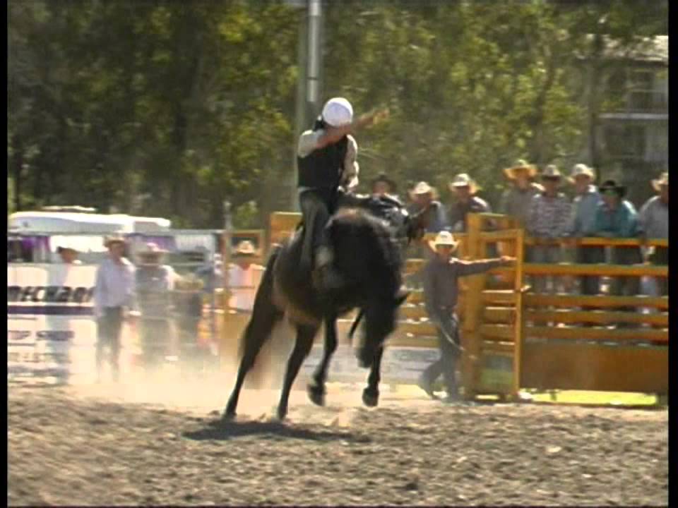 Rockin B Nov Bareback ride wreck Lucky Escape Picton Rodeo 2014 - YouTube