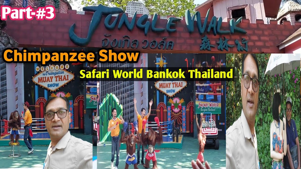 Safari World Bankok | Monkey Shows,Safari World Thailand | chimpanzee ...