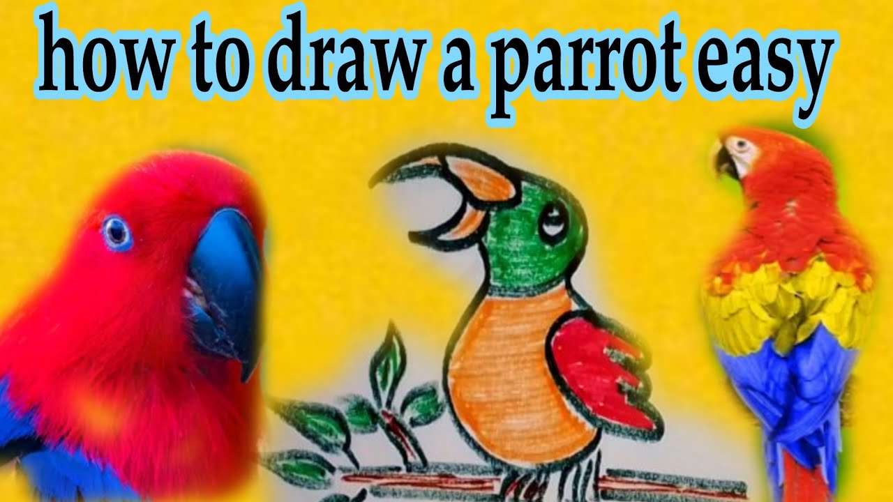 how to draw parrot easy step by step /easy way to draw a parrot # ...