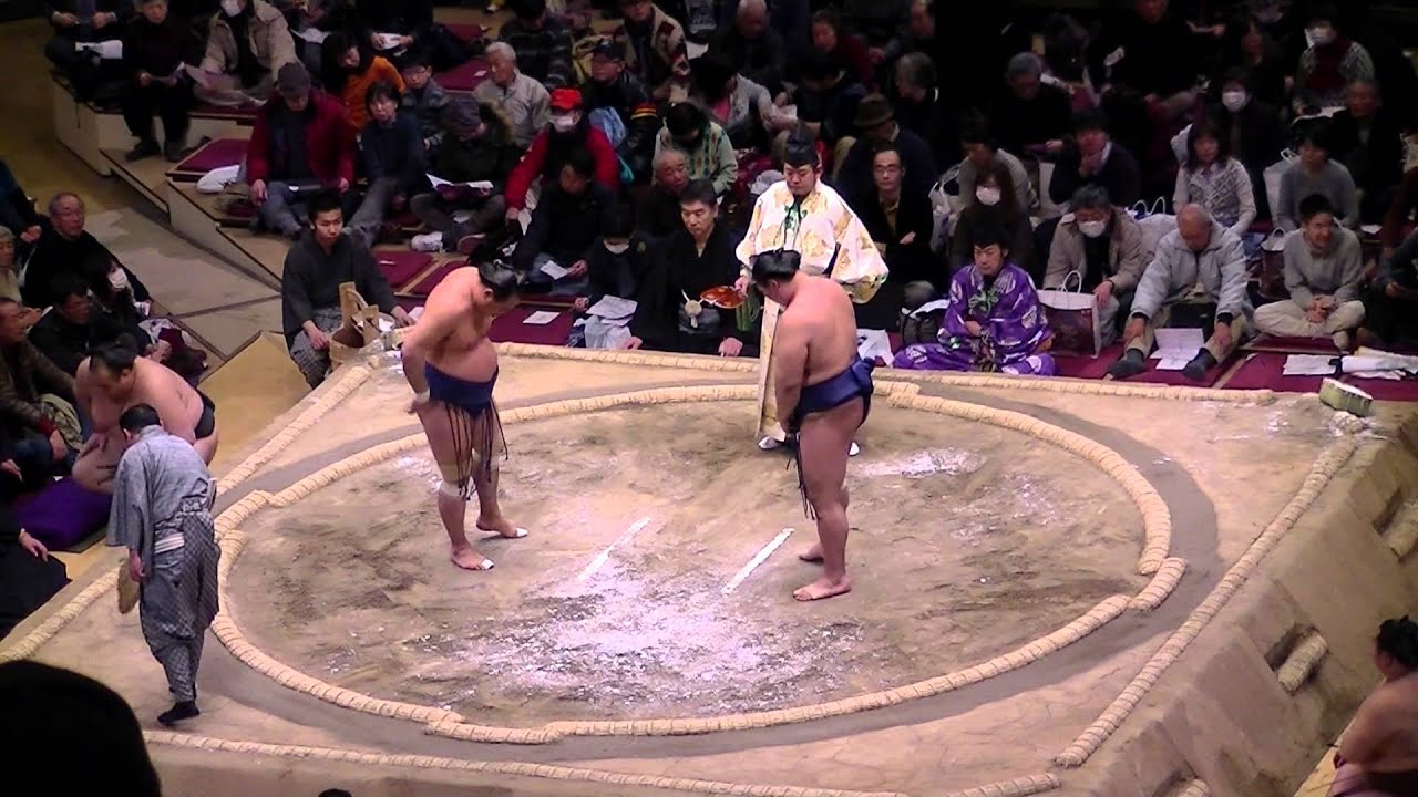 Combat de Sumo - YouTube