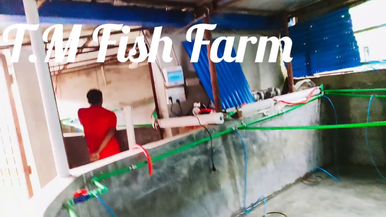 Biofloc Fish Farming. - YouTube