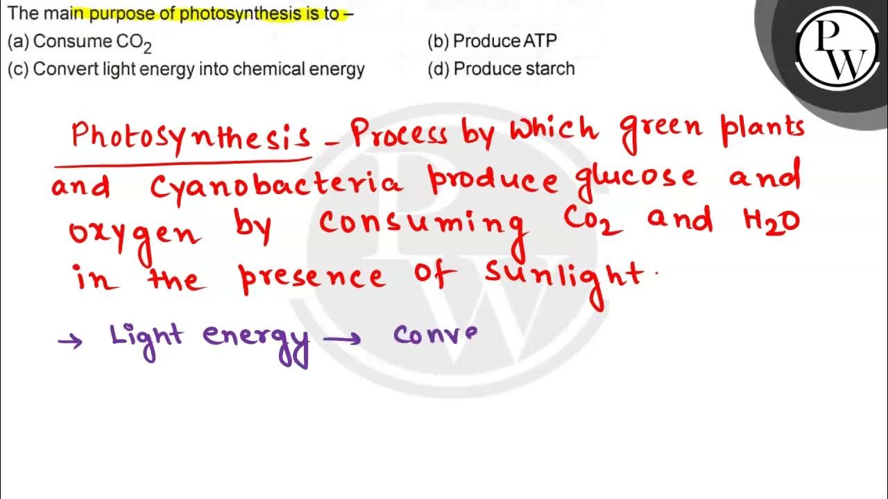 The Main Purpose Of Photosynthesis Is To a Consume mathrm the-main-purpose-of-photosynthesis-is-to-a-consume-mathrm