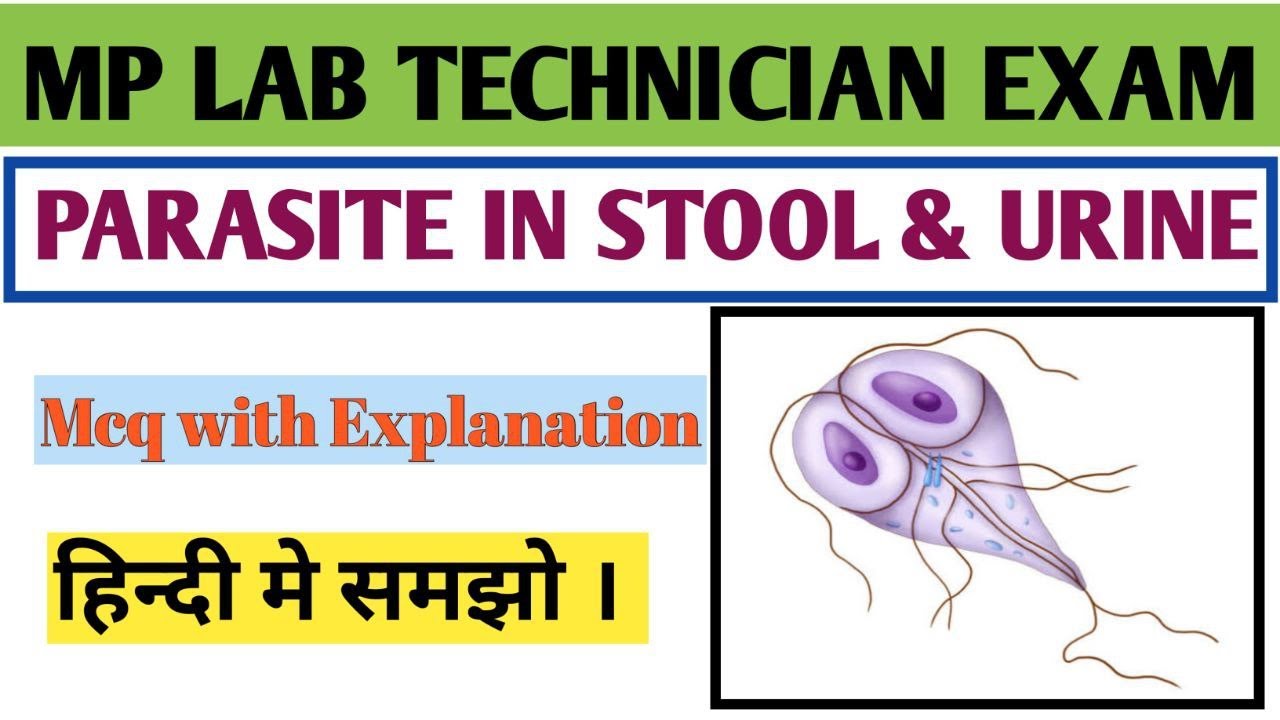 MP LAB TECHNICIAN EXAM || PARASITES IN STOOL & URINE || EXPLAIN IN ...