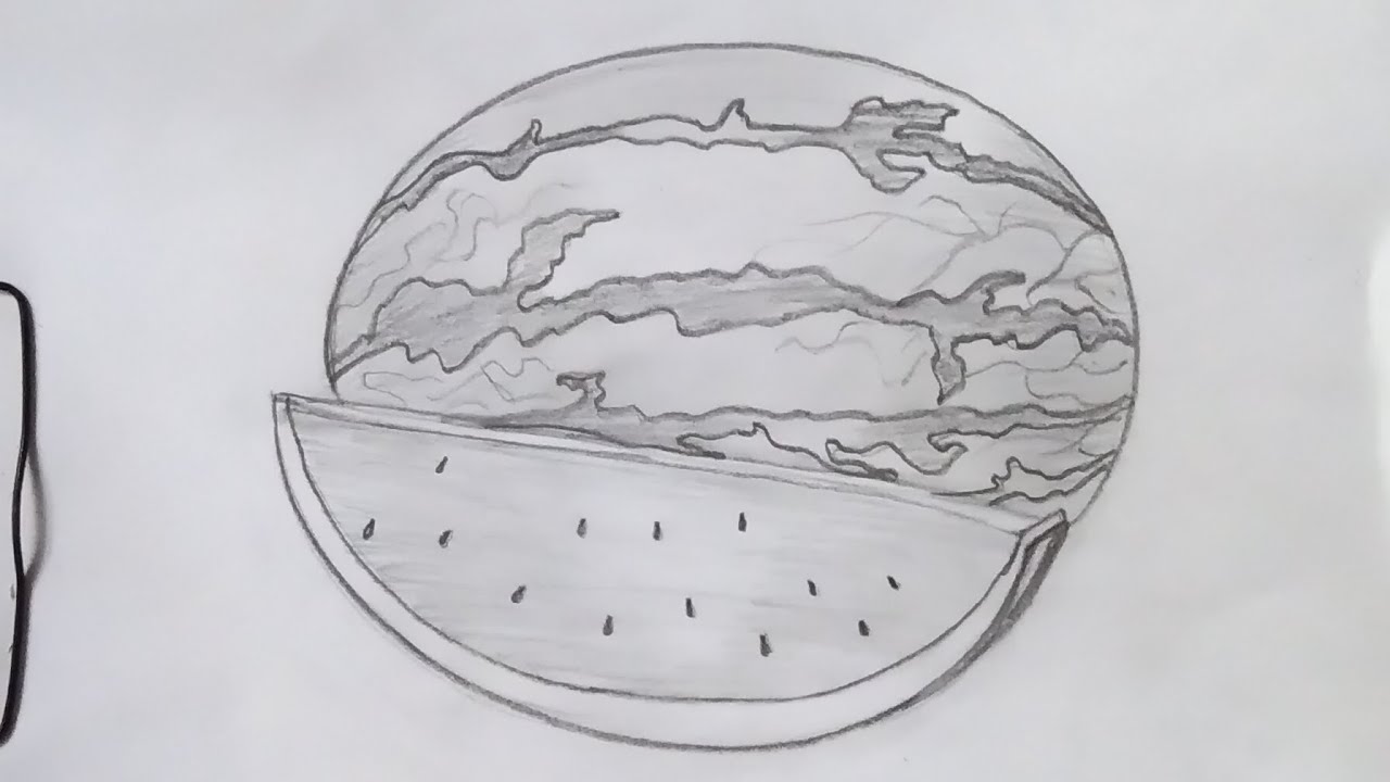 How to draw watermelon| watermelon drawing with pencil| #shading # ...