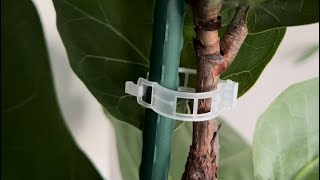 Say Goodbye To Unruly Vines or Branches: Reusable Plant Clips