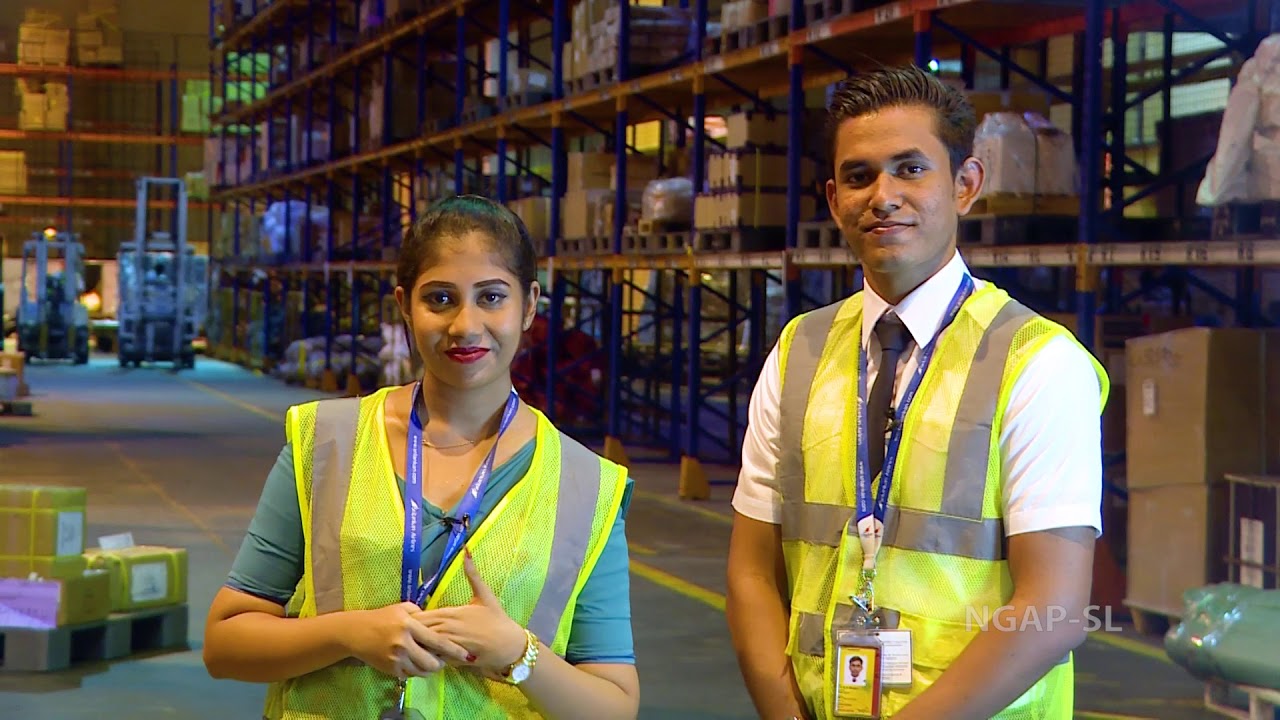 Life as a Cargo Agent at BIA - YouTube