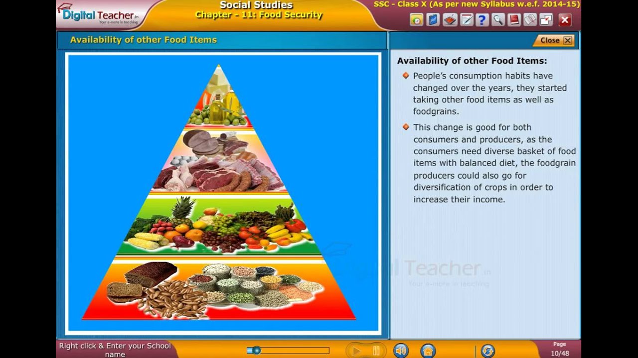Food Security for the Country, Class 10 Social | Digital Teacher - YouTube