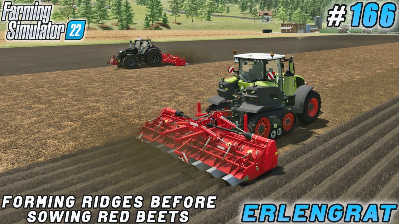 Conducting a Work Cycle for the Preparation and Planting Red Beet ...