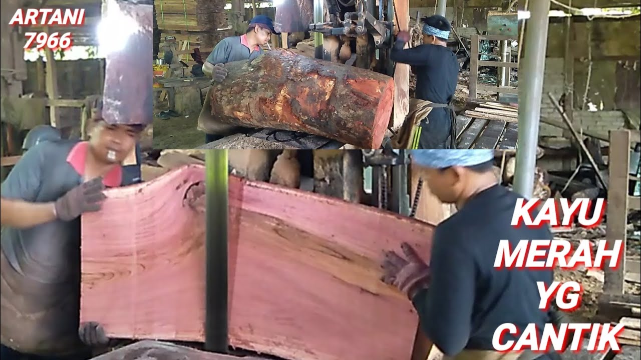 SAWMILL WOOD!!! KAYU MERAH YG CANTIK.RINGAN LEMBUT MUDAH DI PROSES ...