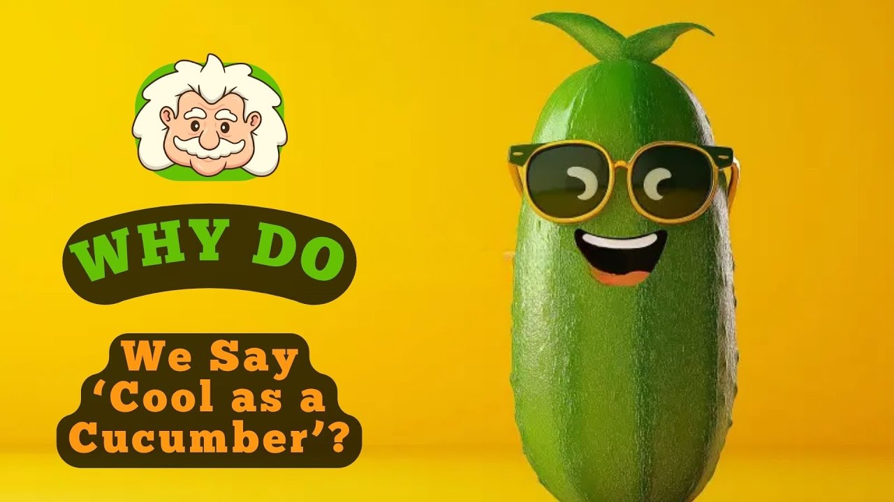 Why Do We Say 'Cool as a Cucumber'? The Cool Truth Behind the Phrase ...