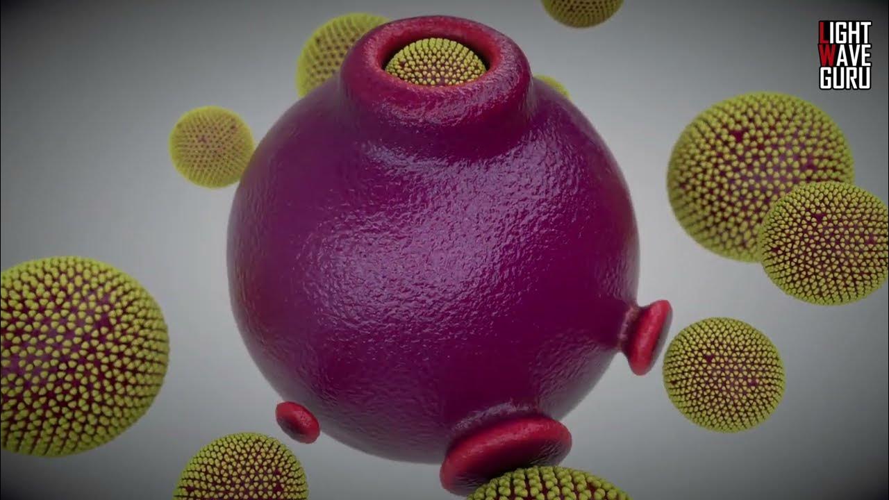 LIGHTWAVE OPEN VDB LEVELSET EXAMPLE V2 - YouTube