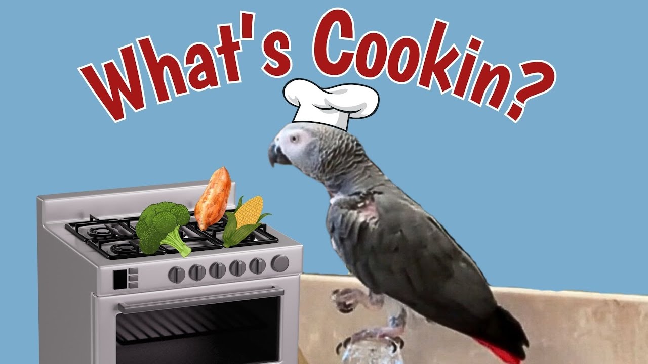 Einstein's Kitchen Adventure: Cooking with a Feathered Chef - YouTube