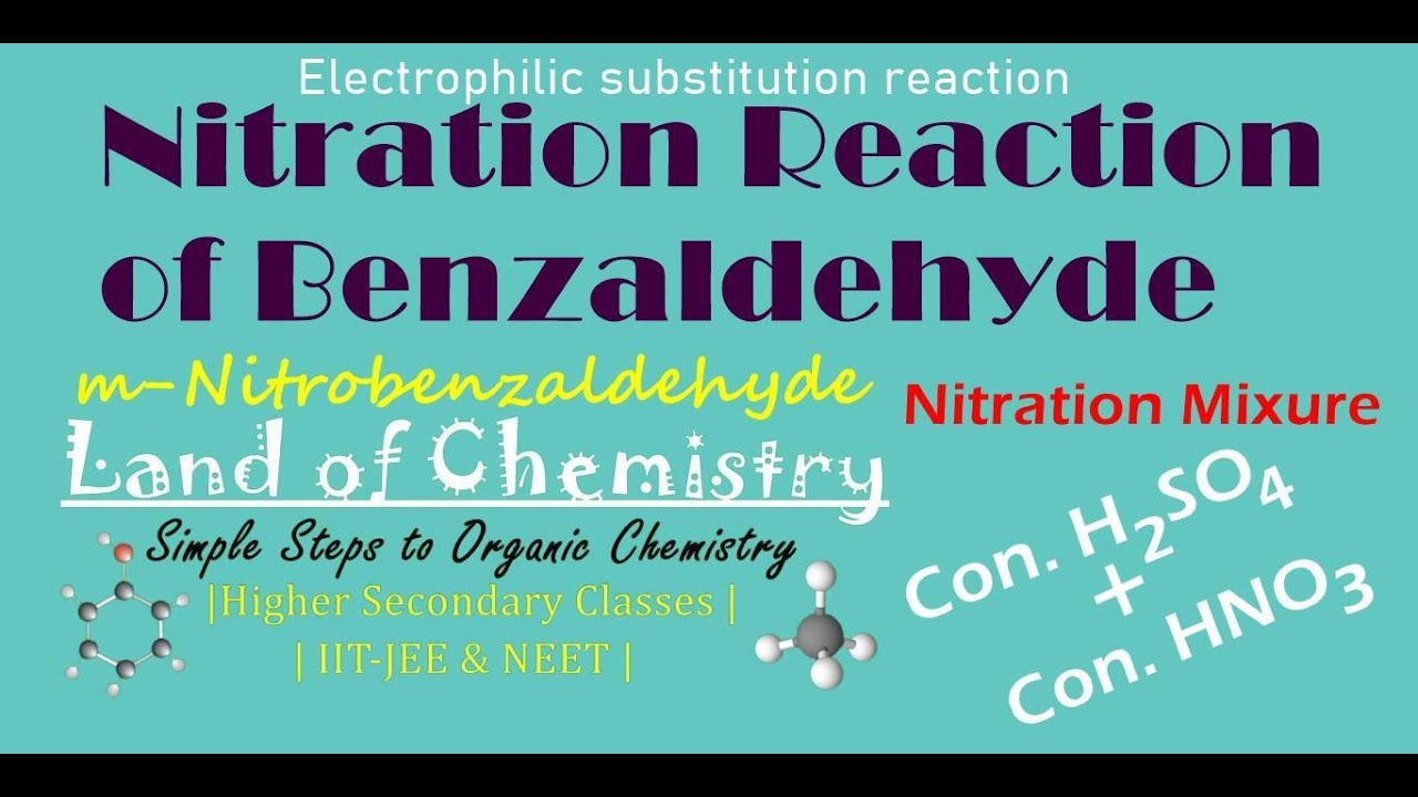 Electrophilic substitution reactions of benzaldehyde| Nitration| m ...